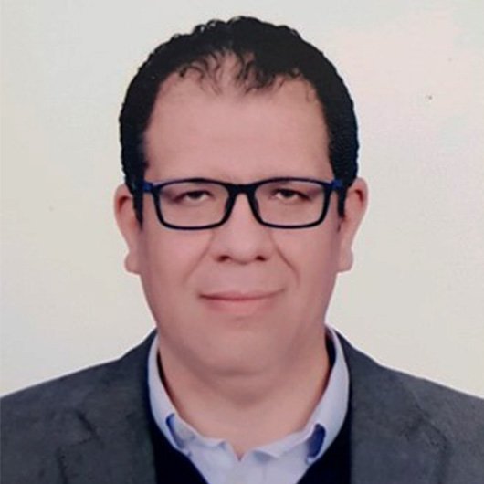 Dr Mostafa Hussien - OI Digital Institute